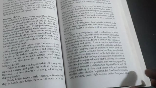 Book Page Read - Free video on Pixabay