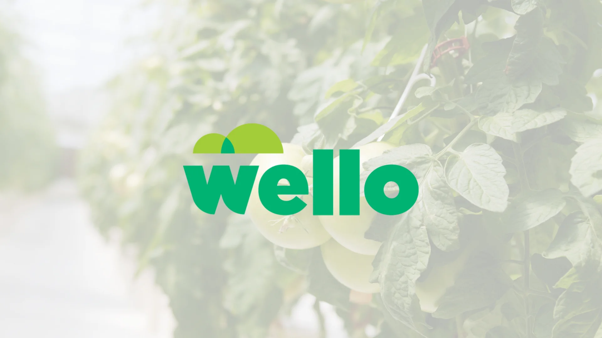 U.S. Venture Open - Wello Preview on Vimeo