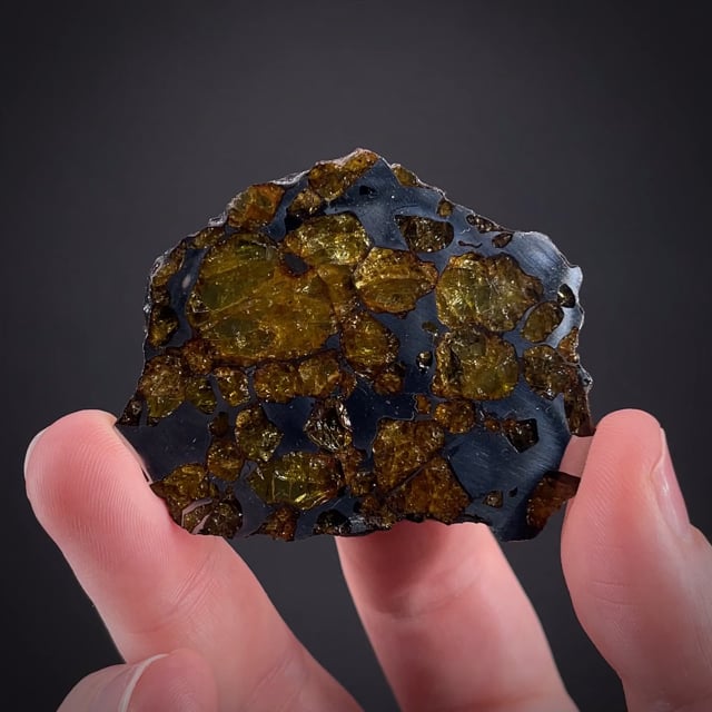 Imilac Pallasite Meteorite slab circa 1822 (26 grams) | Imilac, Atacama ...