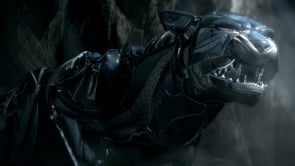 Shape Shifter - Most Inspiring Animation and Motion Graphics video ...