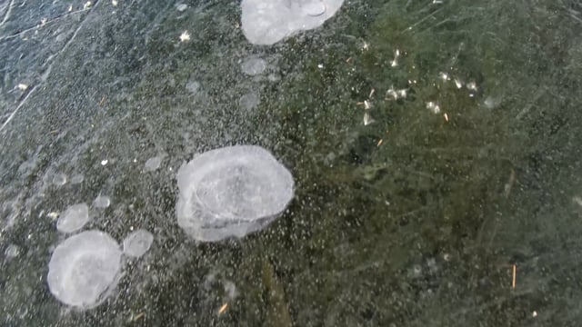 Ice Winter Cold Free Stock Video - Pixabay