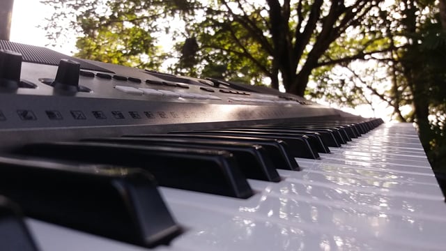 Piano Trees Music - Free video on Pixabay