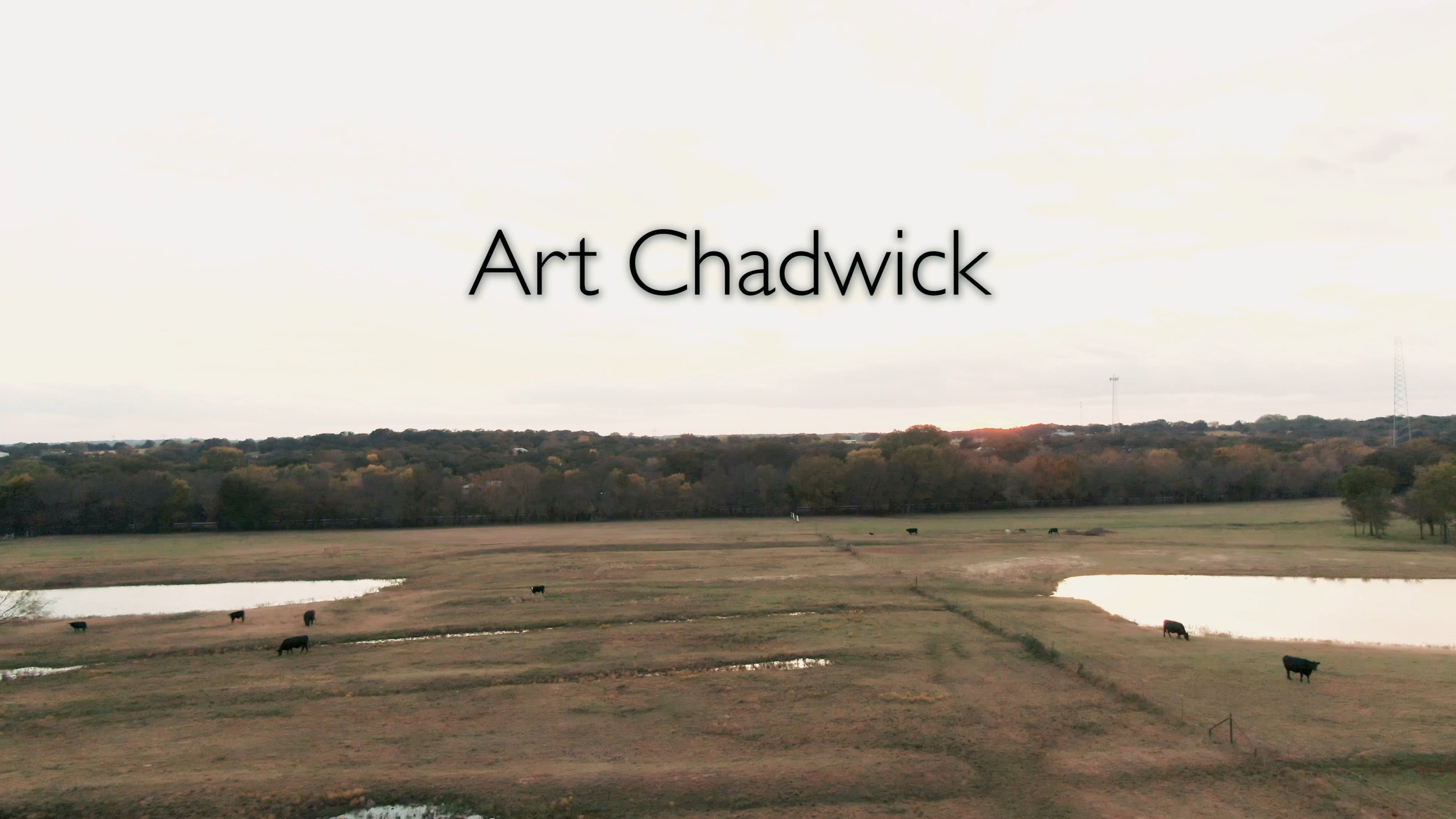 Seeking Understanding: Arthur Chadwick on Vimeo