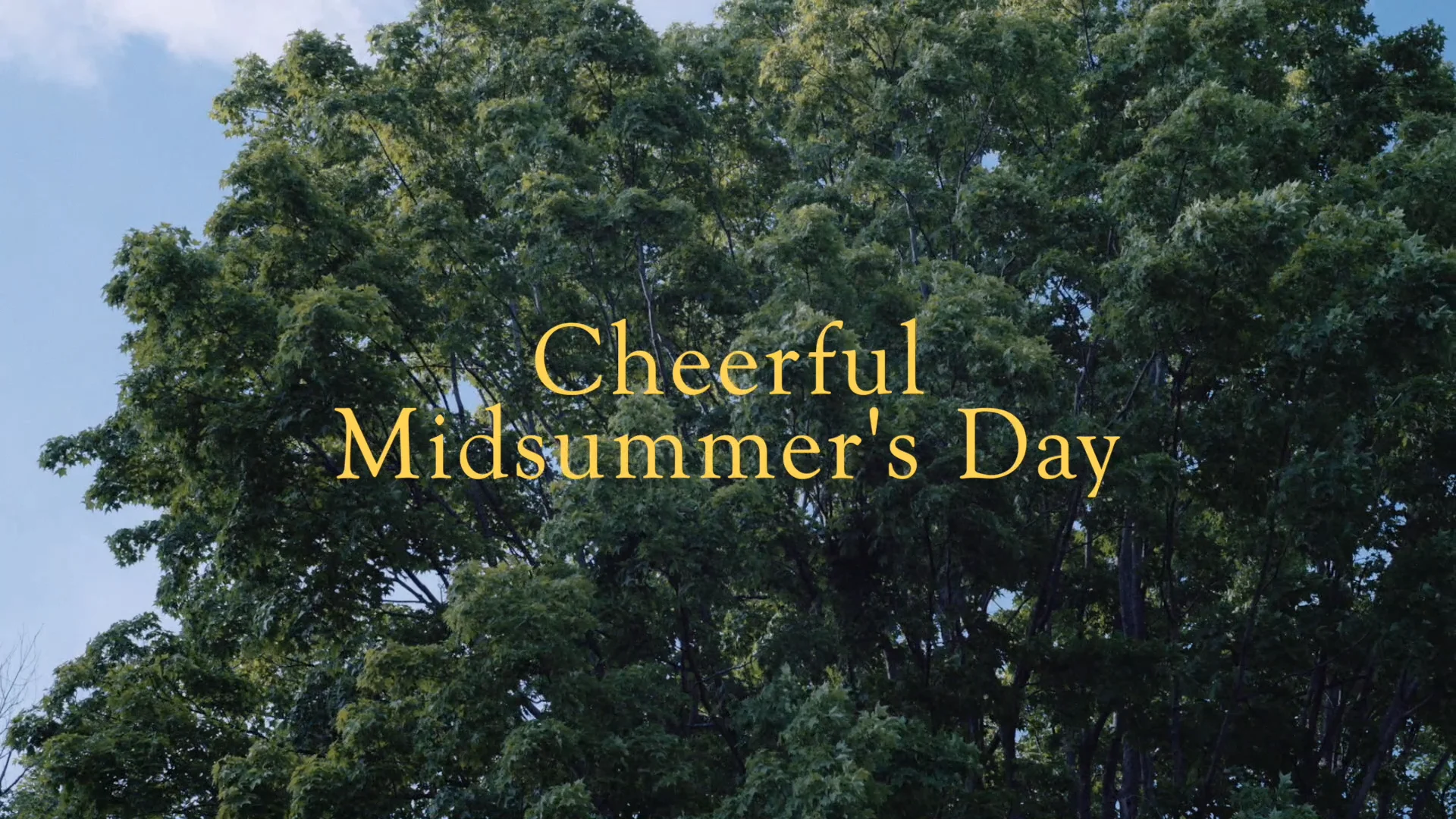 Midsummer's Day