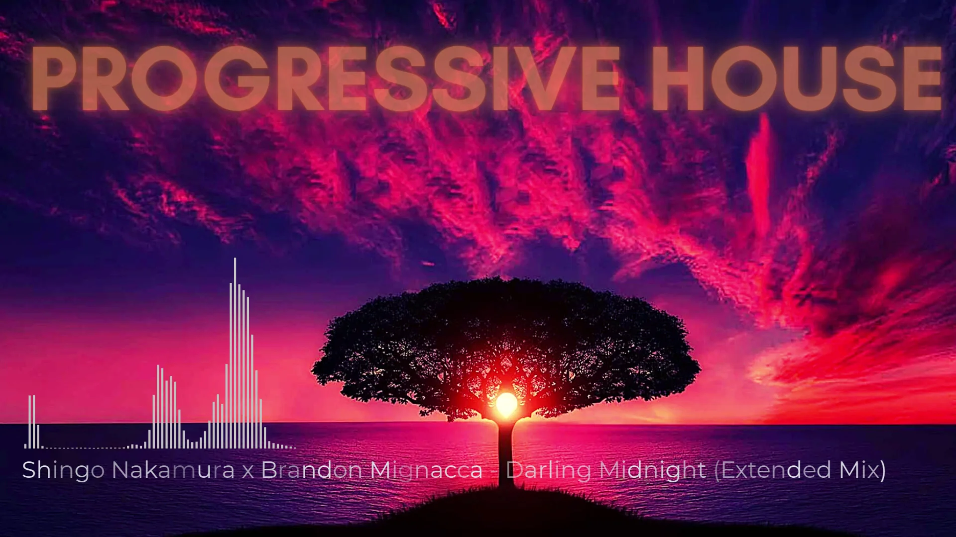 Shingo Nakamura x Brandon Mignacca Darling Midnight AIR MUSIC on Vimeo