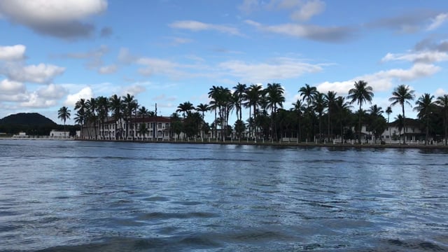 Sea, Fall, Nature. Free Stock Video - Pixabay