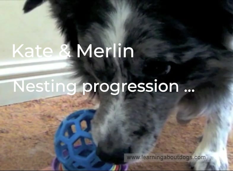Kate & Merlin Nesting on Vimeo