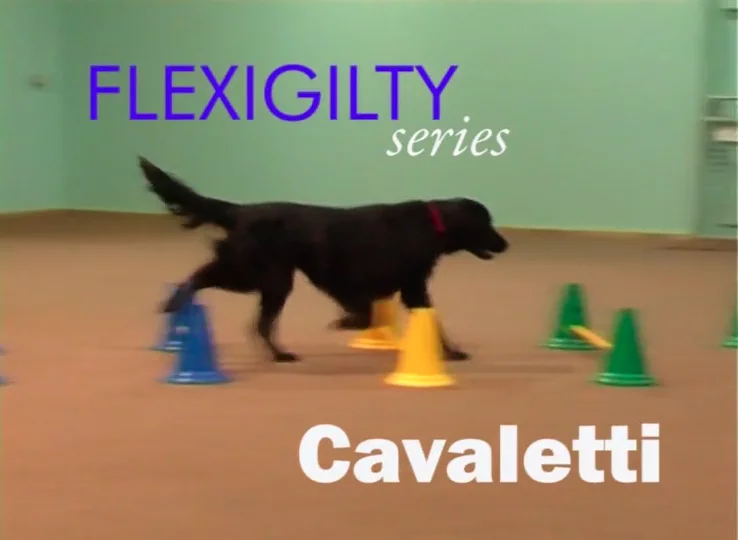 Learning how to build Cavaletti skills on Vimeo