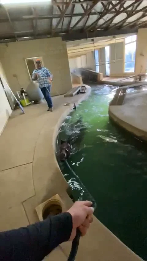 Arthur - First Swim on Vimeo