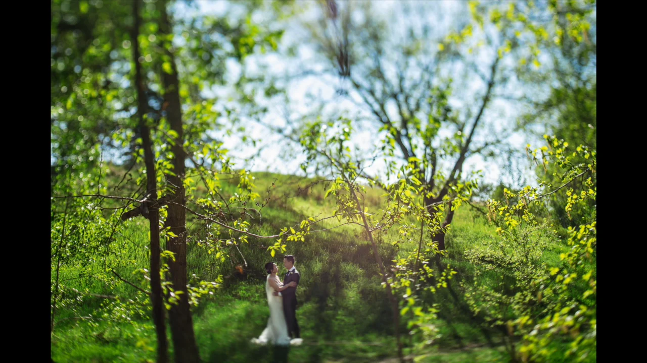 Vicky + Albert.mp4 on Vimeo