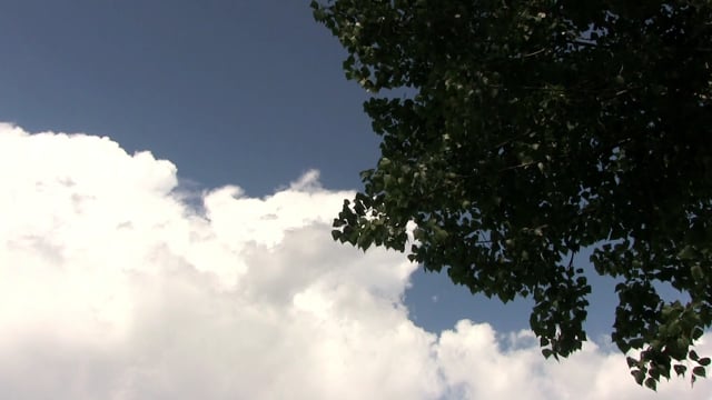 Cloud Meet Poplar Leaves, Green, County. Free Stock Video - Pixabay Cloud Meet Poplar Leaves, Green, County. Free Stock Video - Pixabay