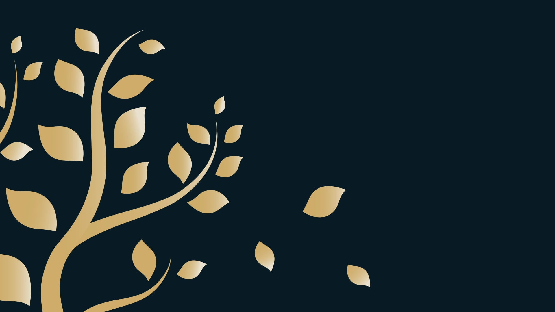 Branch Growing on Vimeo