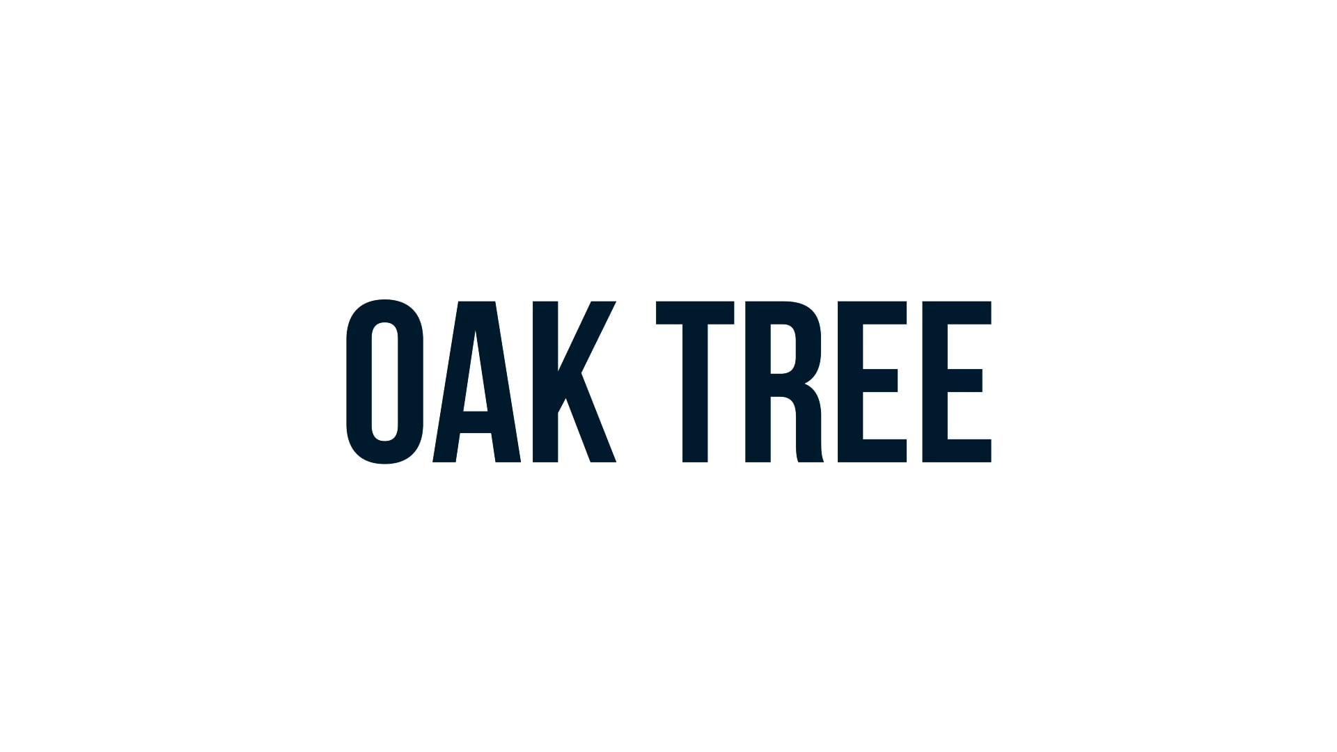 Oak Tree Brand Identity - Video Short on Vimeo