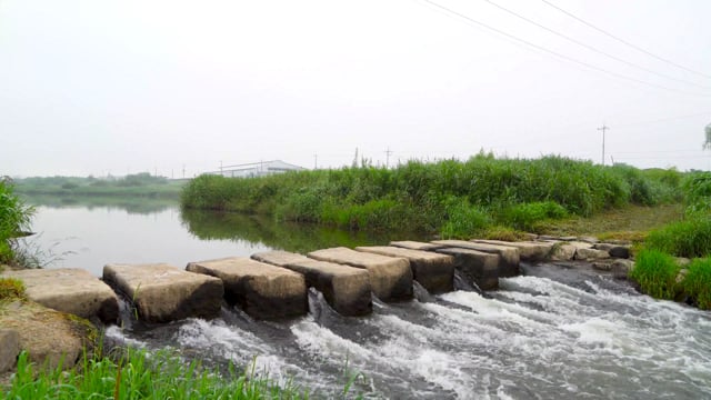 Creek, Water Flow, Rocks. Free Stock Video - Pixabay
