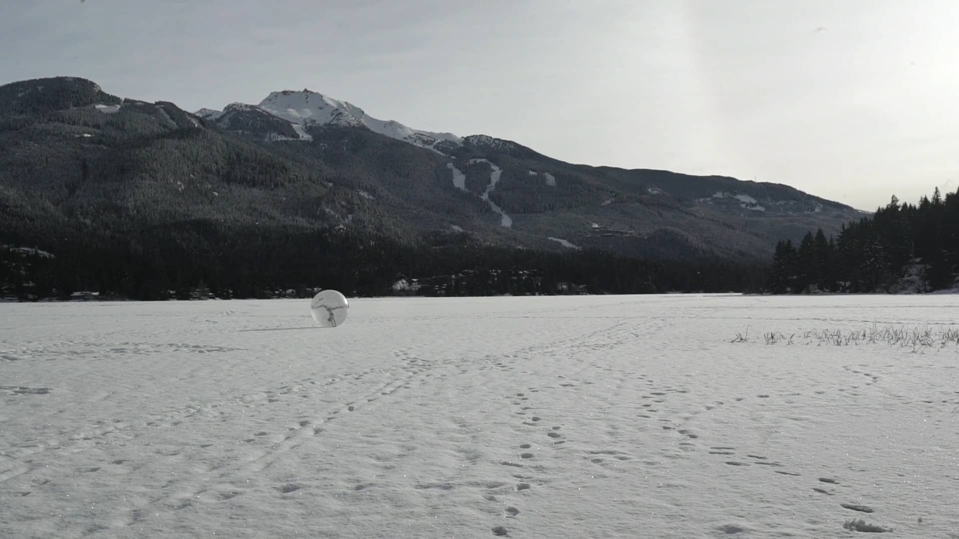 Treeline Aerial | Mountains on Vimeo