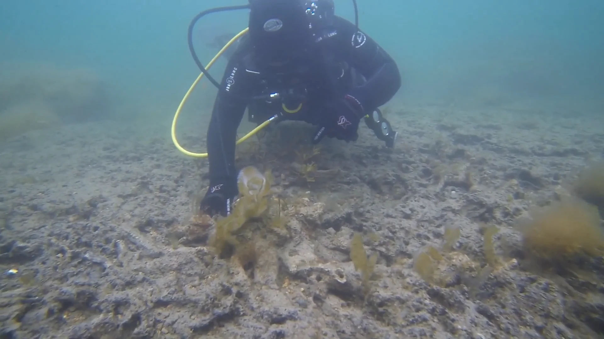 BOEM_Paleolandscapes_TRAILER on Vimeo