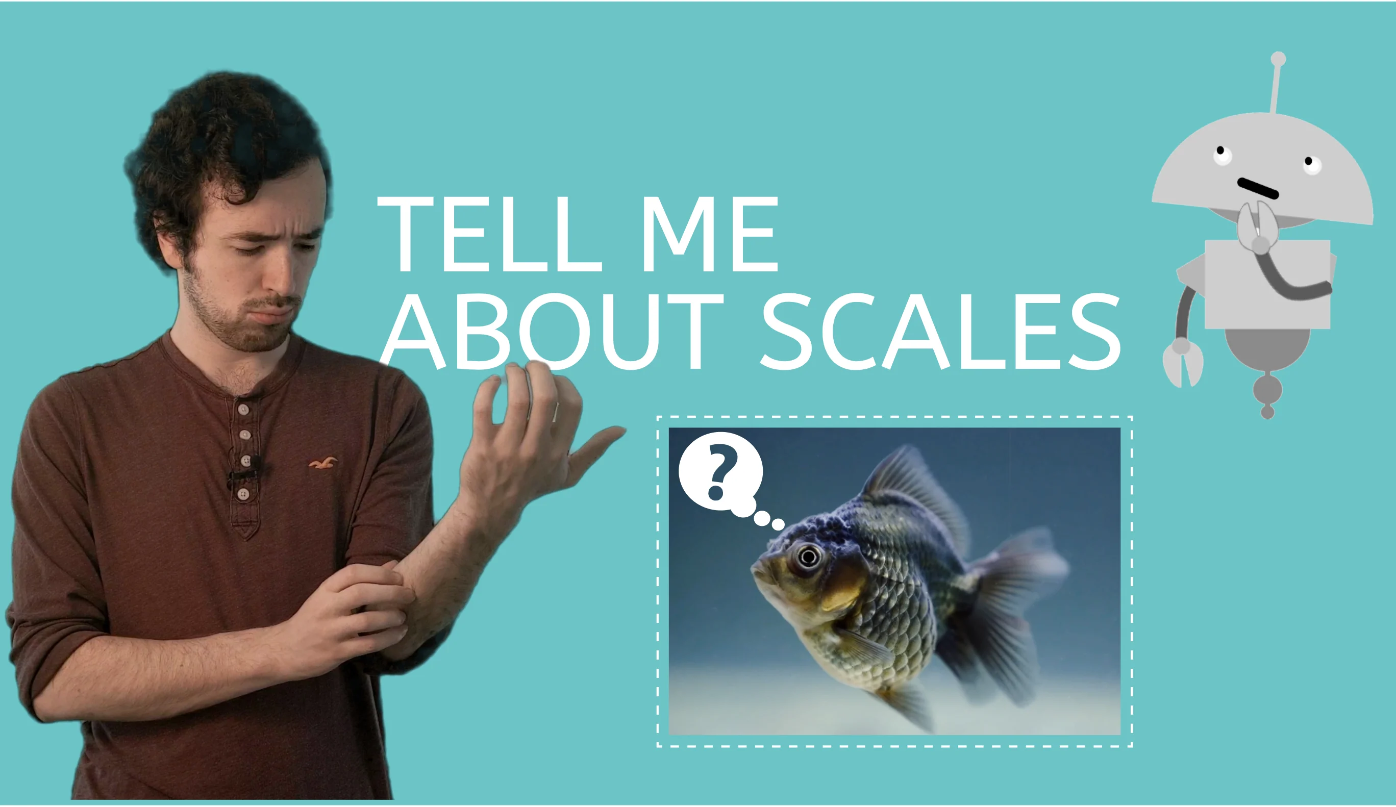 Tell Me About Things With Scales