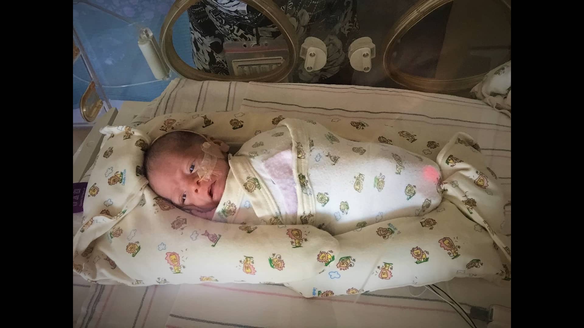 Using the Dandle PAL on Vimeo