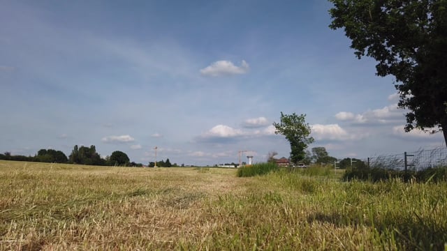 Field, Cut, Nature. Free Stock Video - Pixabay