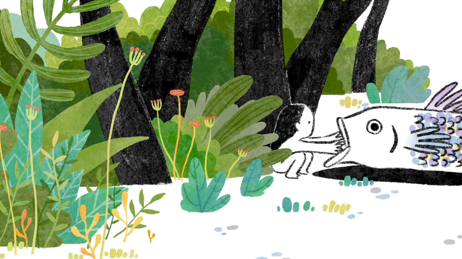 Fish on Vimeo
