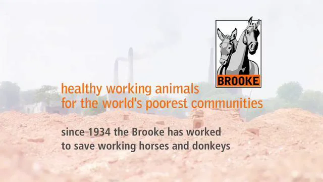 The Brooke DRTV ad on Vimeo