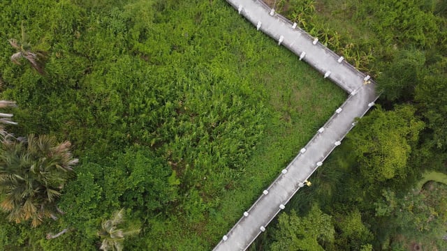 Path, Pathway, Walkway. Free Stock Video - Pixabay