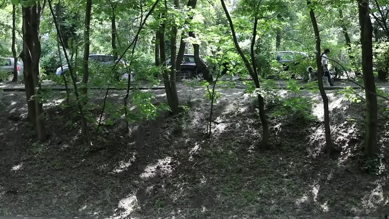 Sequenz 02_59_1.mp4 on Vimeo