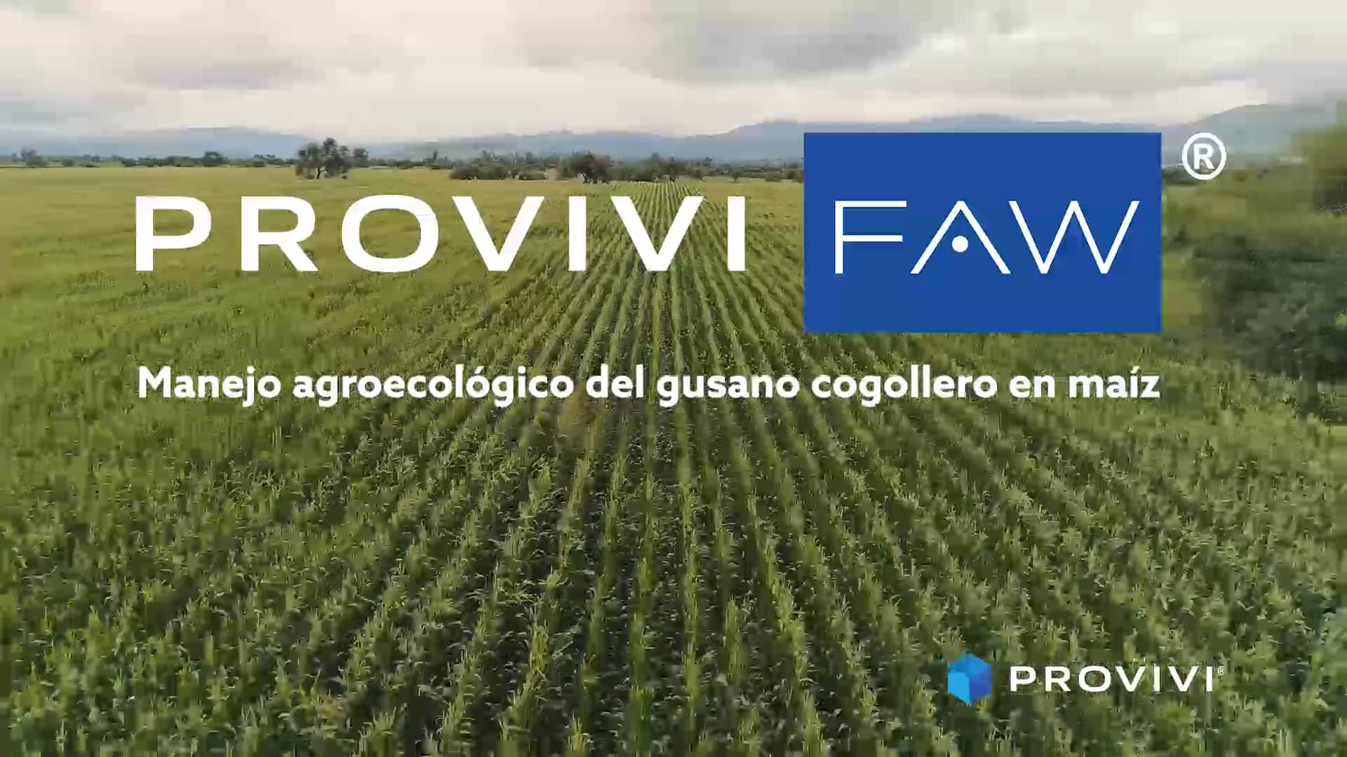 CÓMO ARMAR PROVIVI FAW_WA on Vimeo