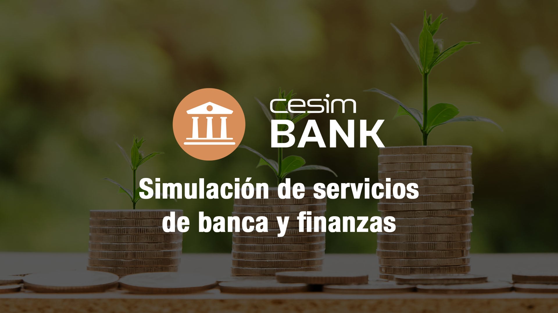 Introducción a Cesim Bank | Simulación de servicios de banca y finanzas ...