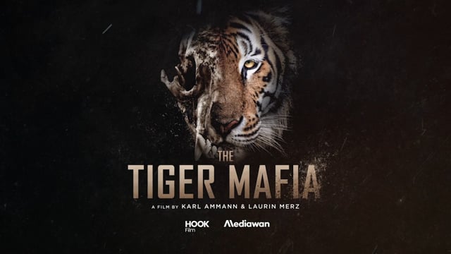 THE TIGER MAFIA – HOOK Film