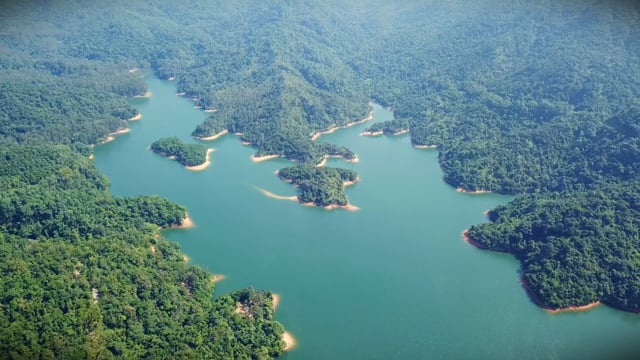 Island Trees Forest - Free video on Pixabay