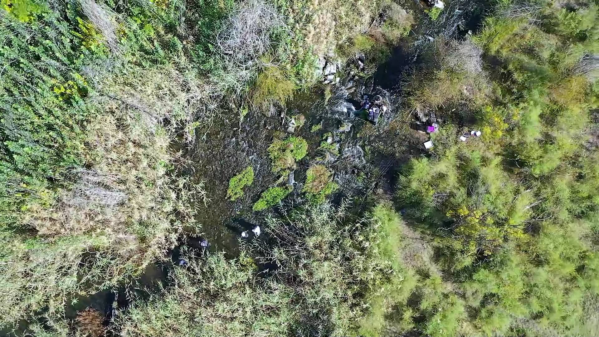 NWU-FNAS---Environmental-Sciences---Rev-02-F on Vimeo