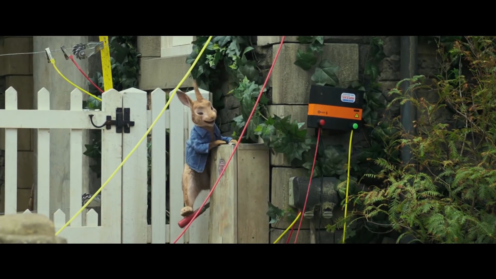 Peter Rabbit 2 on Vimeo