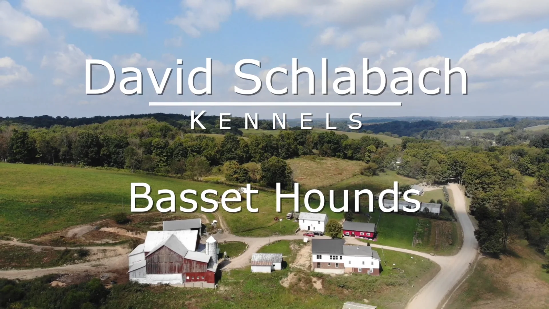David Schlabach Basset Hounds on Vimeo