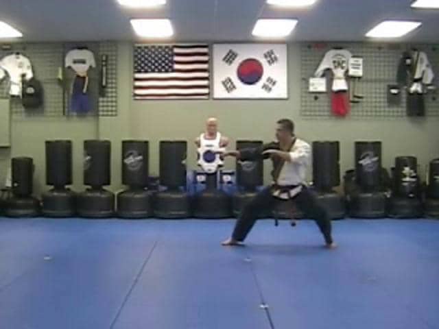 Basic Tang Soo Do Forms (hyungs) on Vimeo