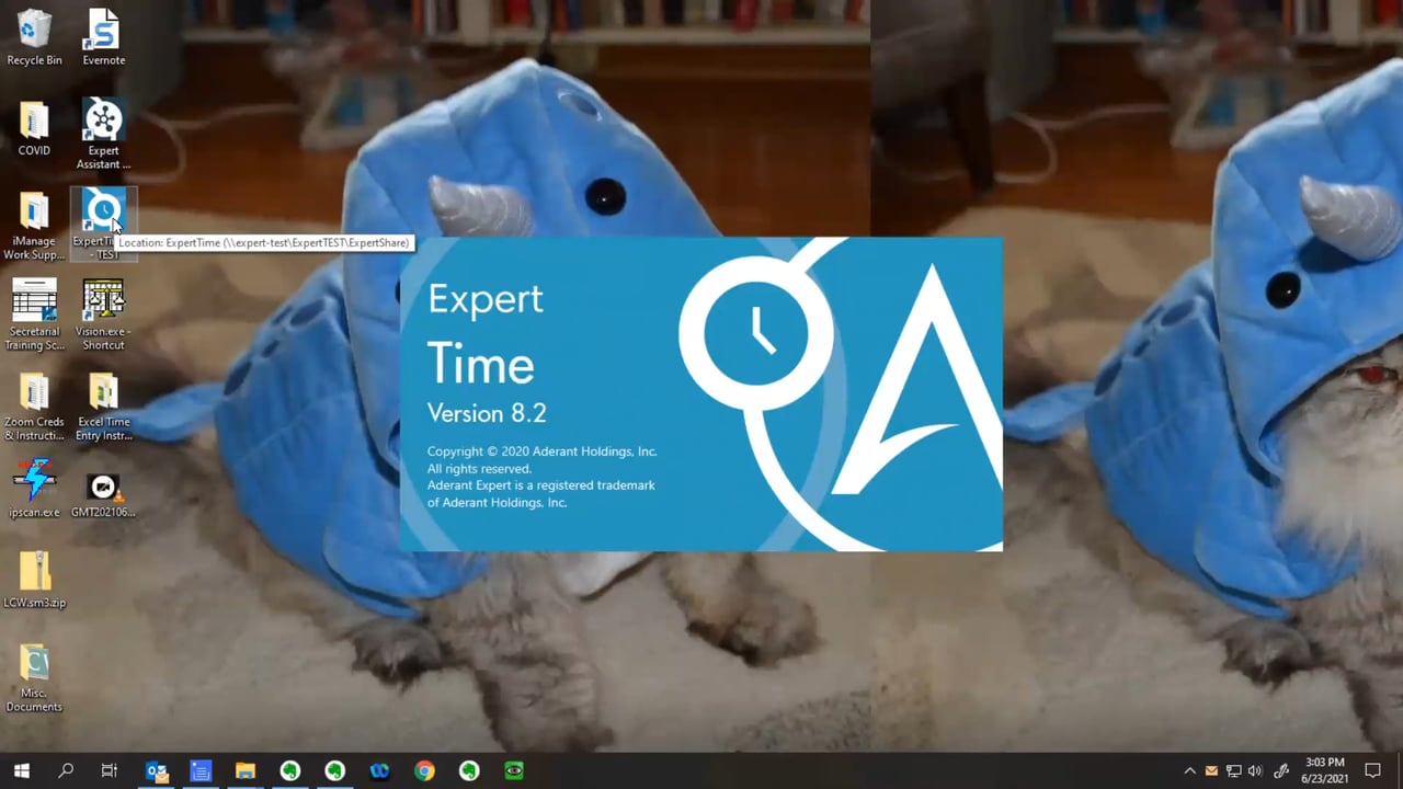 Aderant Expert Time Training June 23 3pm.mp4 on Vimeo