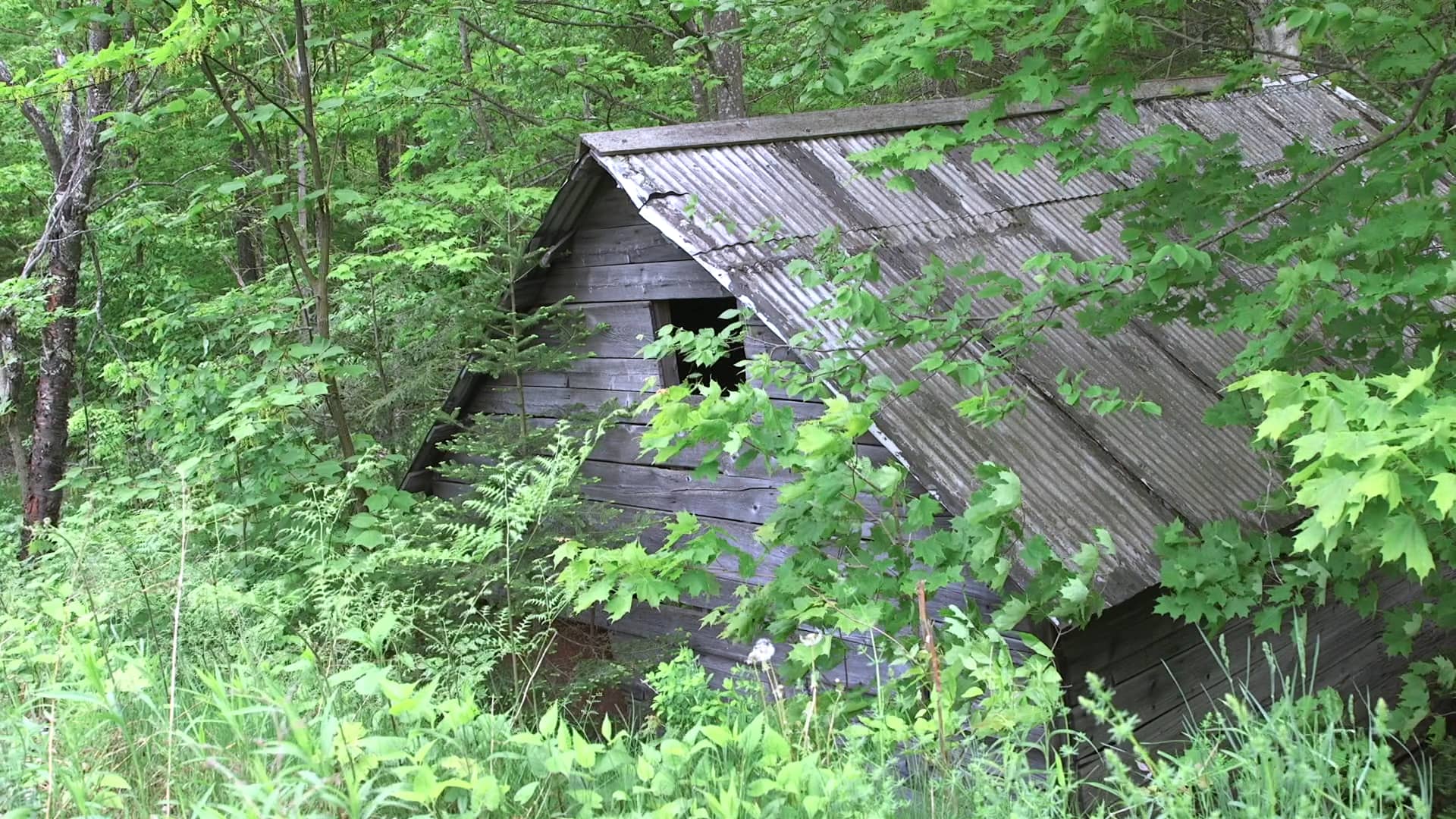 SugarhouseVermont_Paul Hartshorn on Vimeo