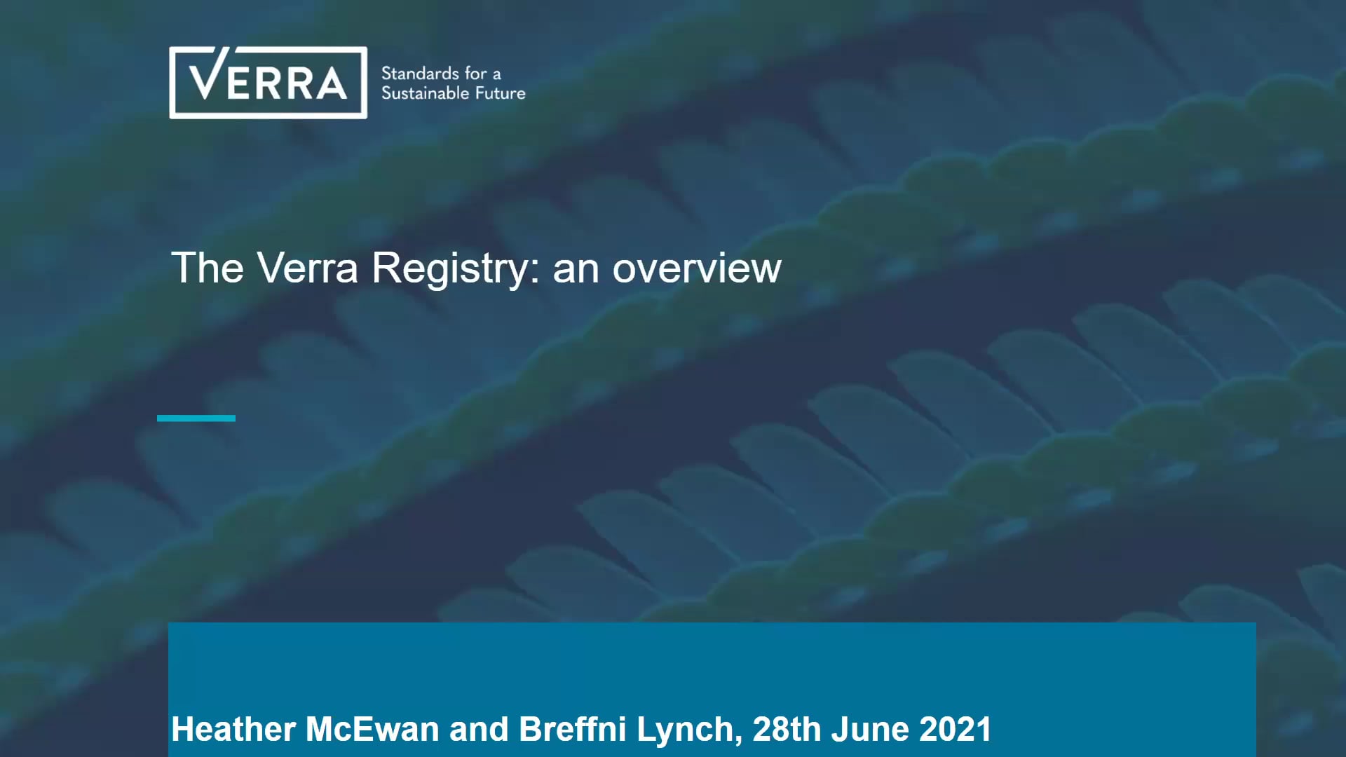 The Verra Registry: An Overview