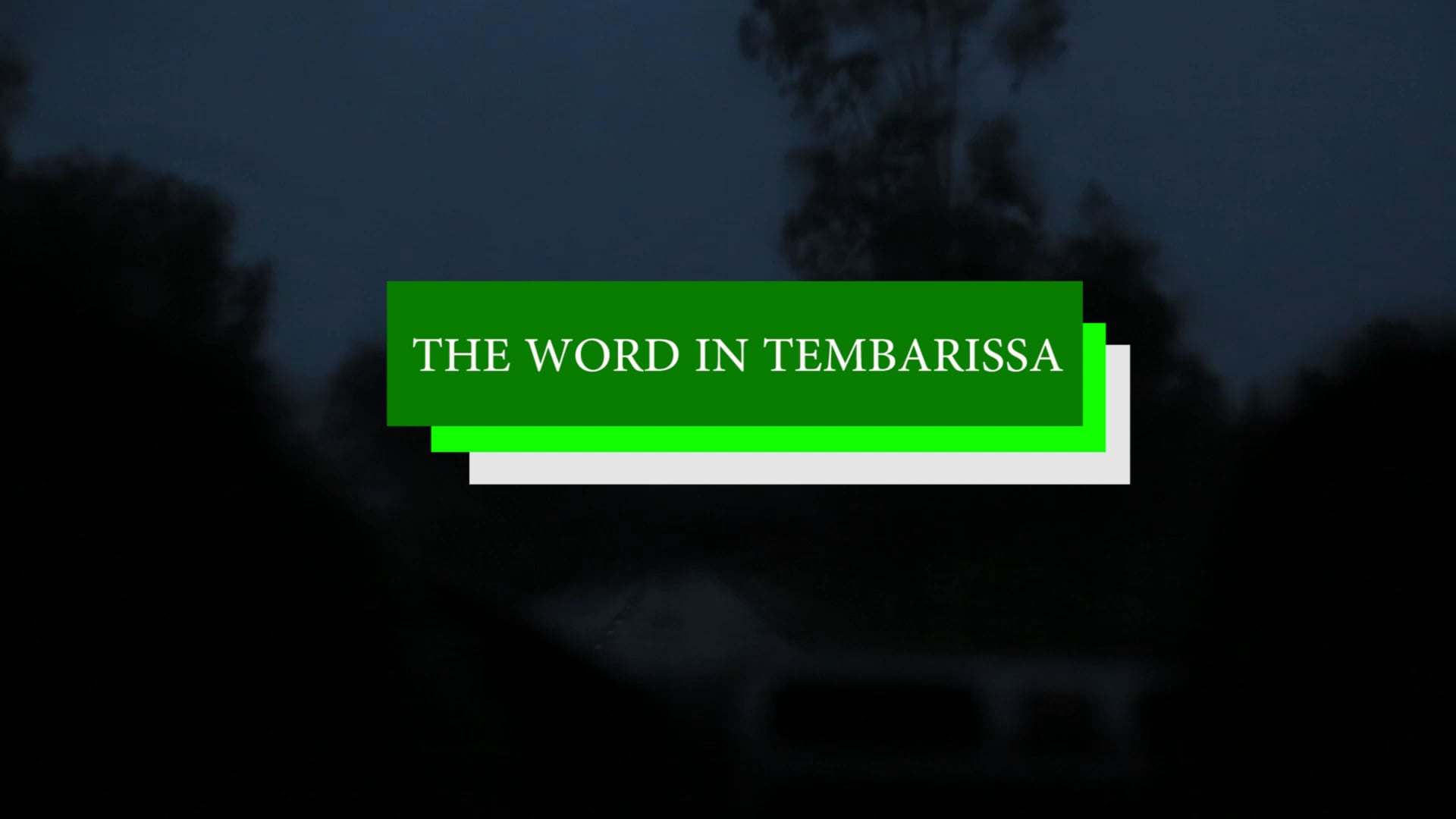 Timbaro Project Update — June 2021 | Word For The World on Vimeo