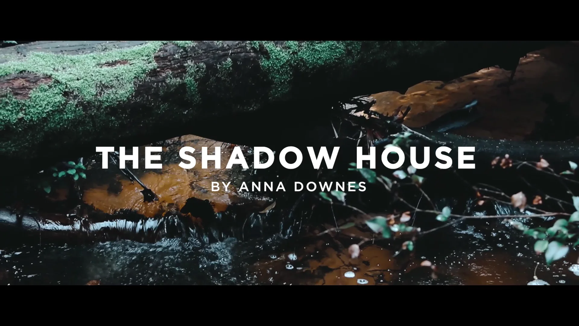 Profile / Interview / Book Launch Interview Video on Vimeo