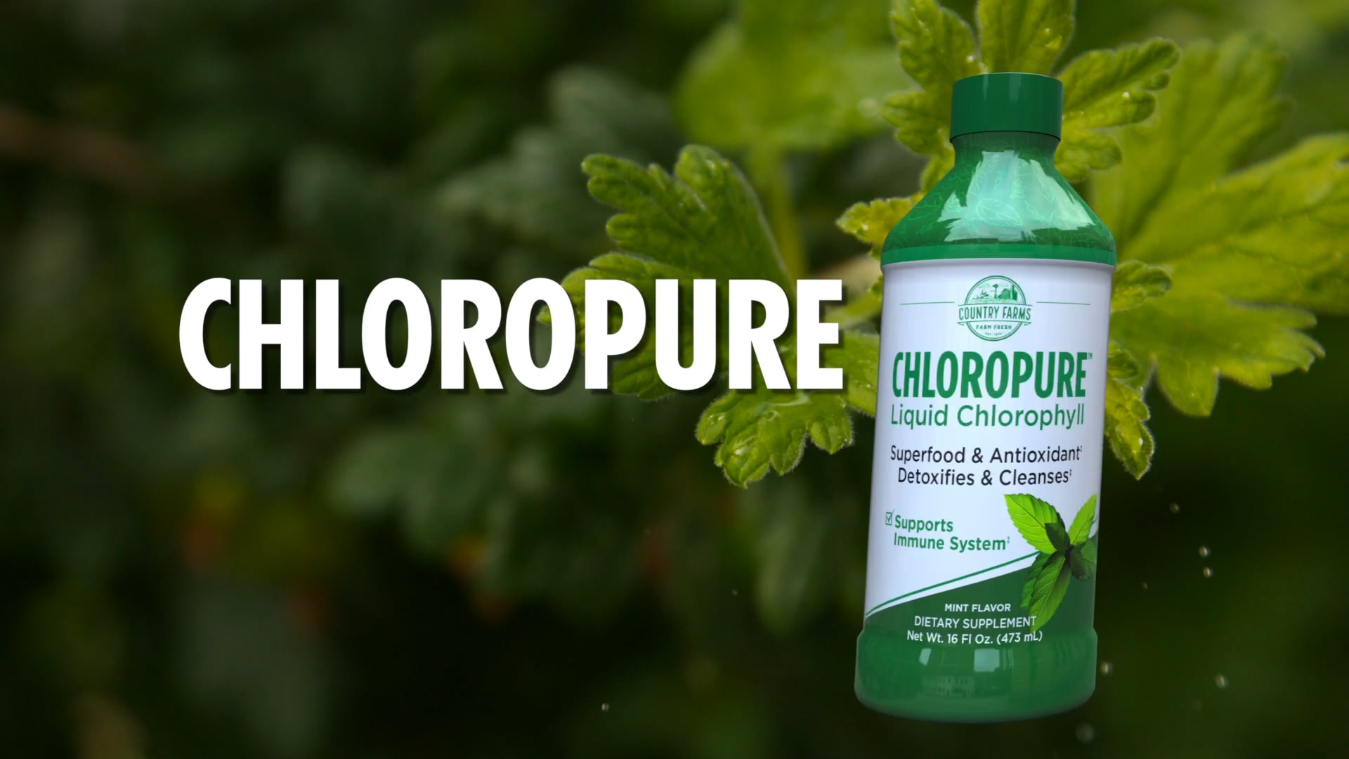 Chloropure Liquid Chlorophyll Promo.mov on Vimeo