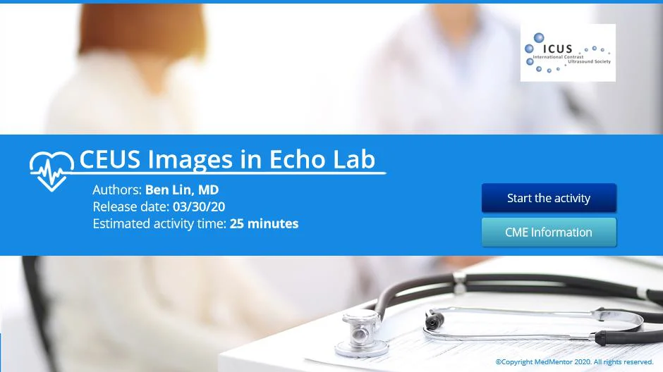 CEUS what images for echo.mp4 on Vimeo