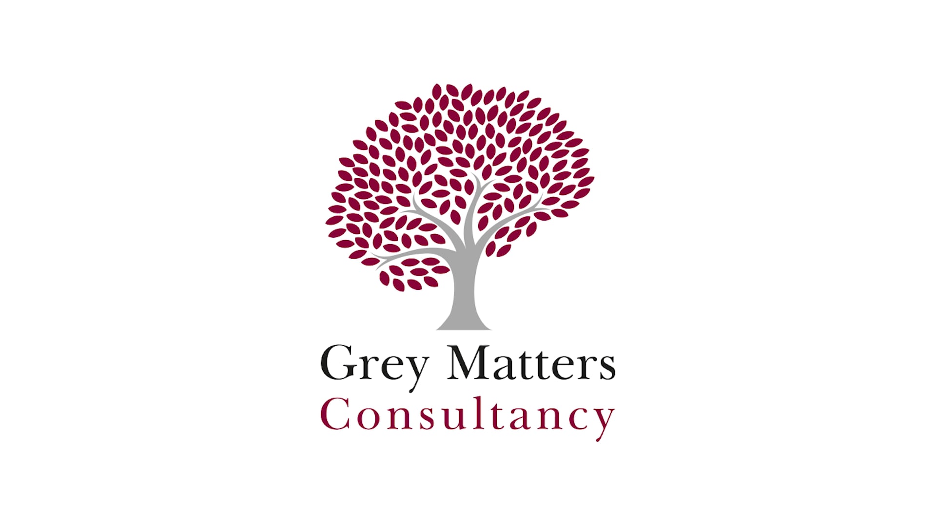 Grey Matters Consultancy - franchise video on Vimeo