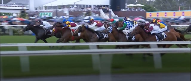 Fierce Impact - Stallion | Breednet