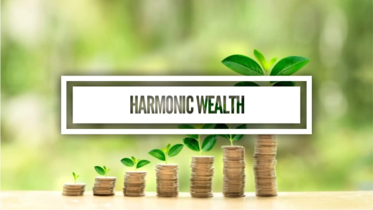 Harmonic Wealth Binary on Vimeo