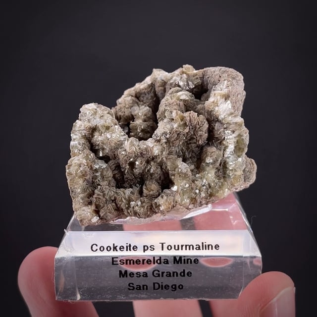 Cookeite (RARE) ps. Tourmaline ex Larson Coll. | Esmeralda Mine, Mesa ...