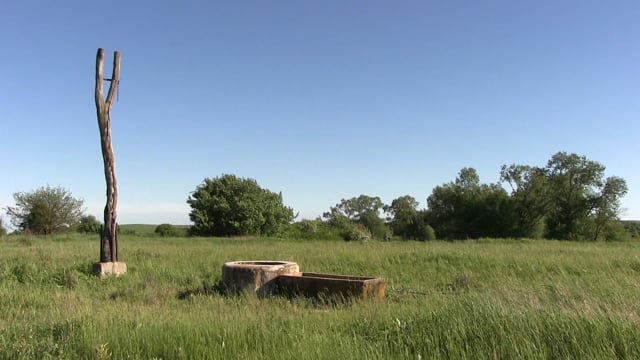 Well Field Pasture - Free video on Pixabay