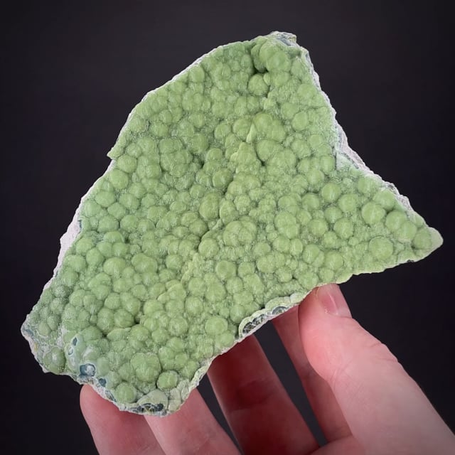 Wavellite (fine color) | James Zigras Mine, Avant, Garland Co ...