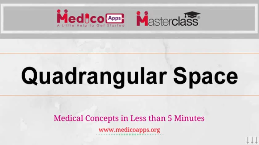 Quadrangular space_commercial version on Vimeo