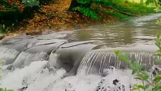 River Stream Waterfall - Free video on Pixabay